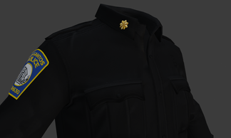 Collar Rank EUP Pack – ReckleModifications